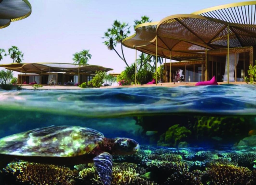 تصاميم كورال بلوم مستوحاة من طبيعة المملكة الخلابة | صحيفة مكة